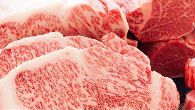 Industri Daging - PT. Dwi Mitra Teknindo